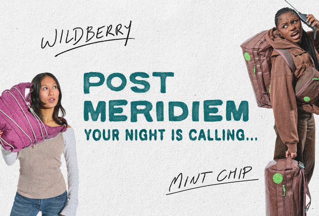 Post Meridiem – BABOON TO THE MOON